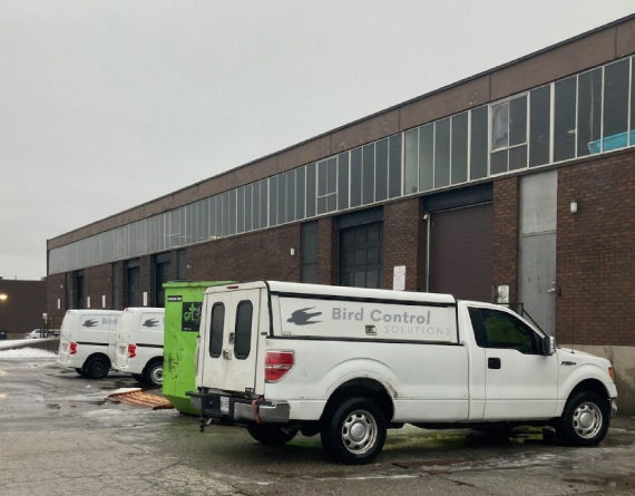 About Us - Bird Control Solutions