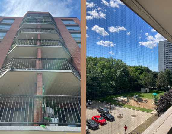 Home - Bird Control Solutions - Bird Control Solutions