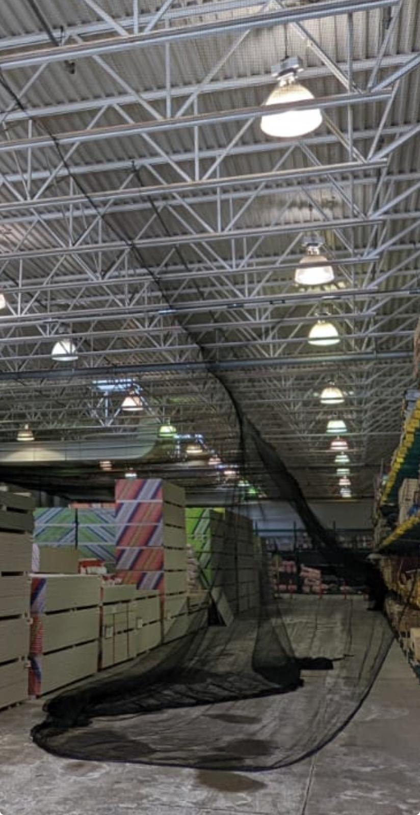Tailored Bird Proofing and Prevention Solutions