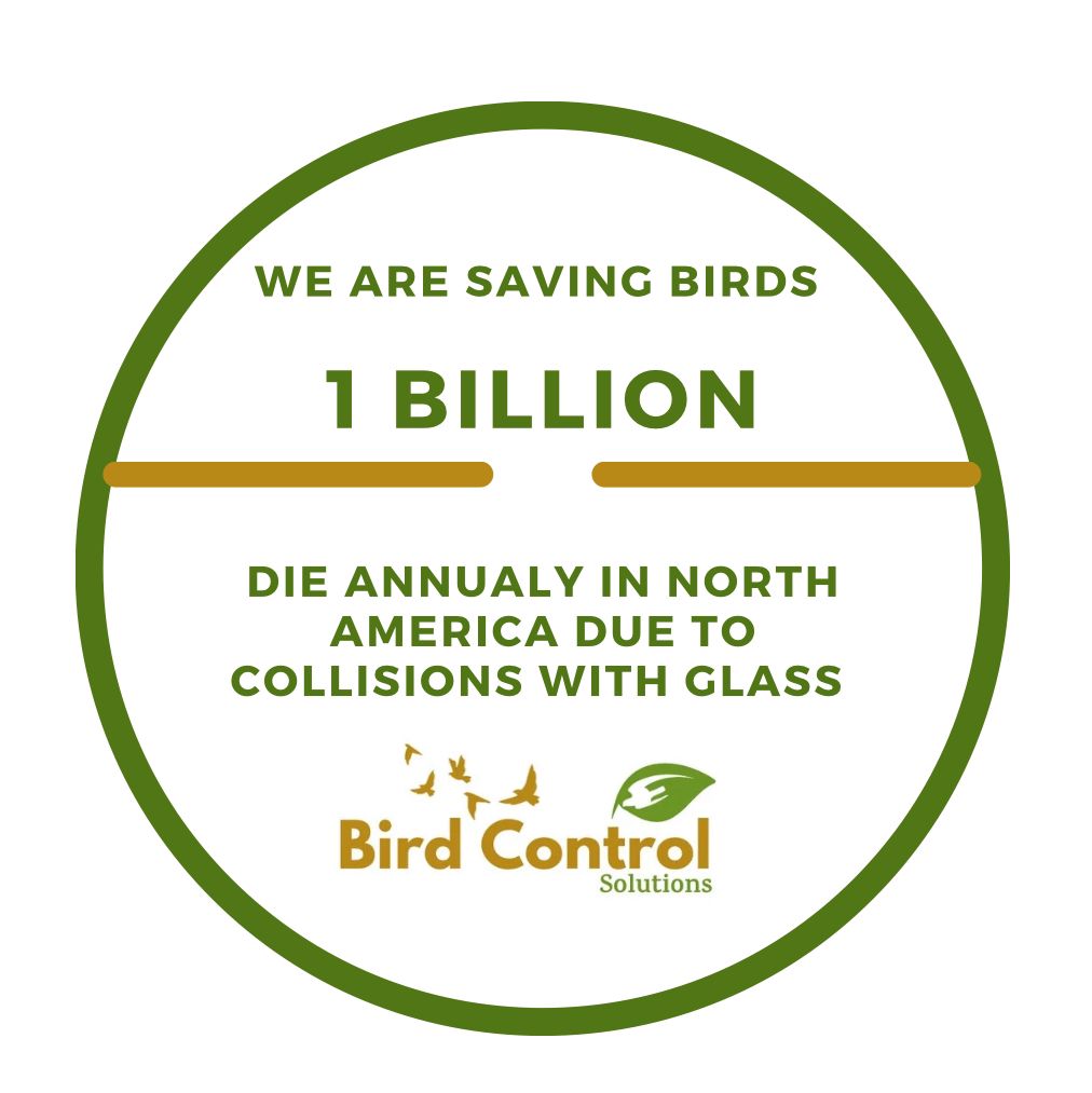 Bird-Friendly Windows & Sustainable Bird Proofing Solutions